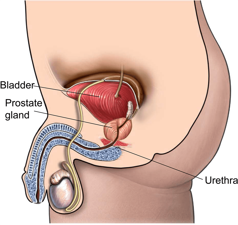 Prostate Pressure