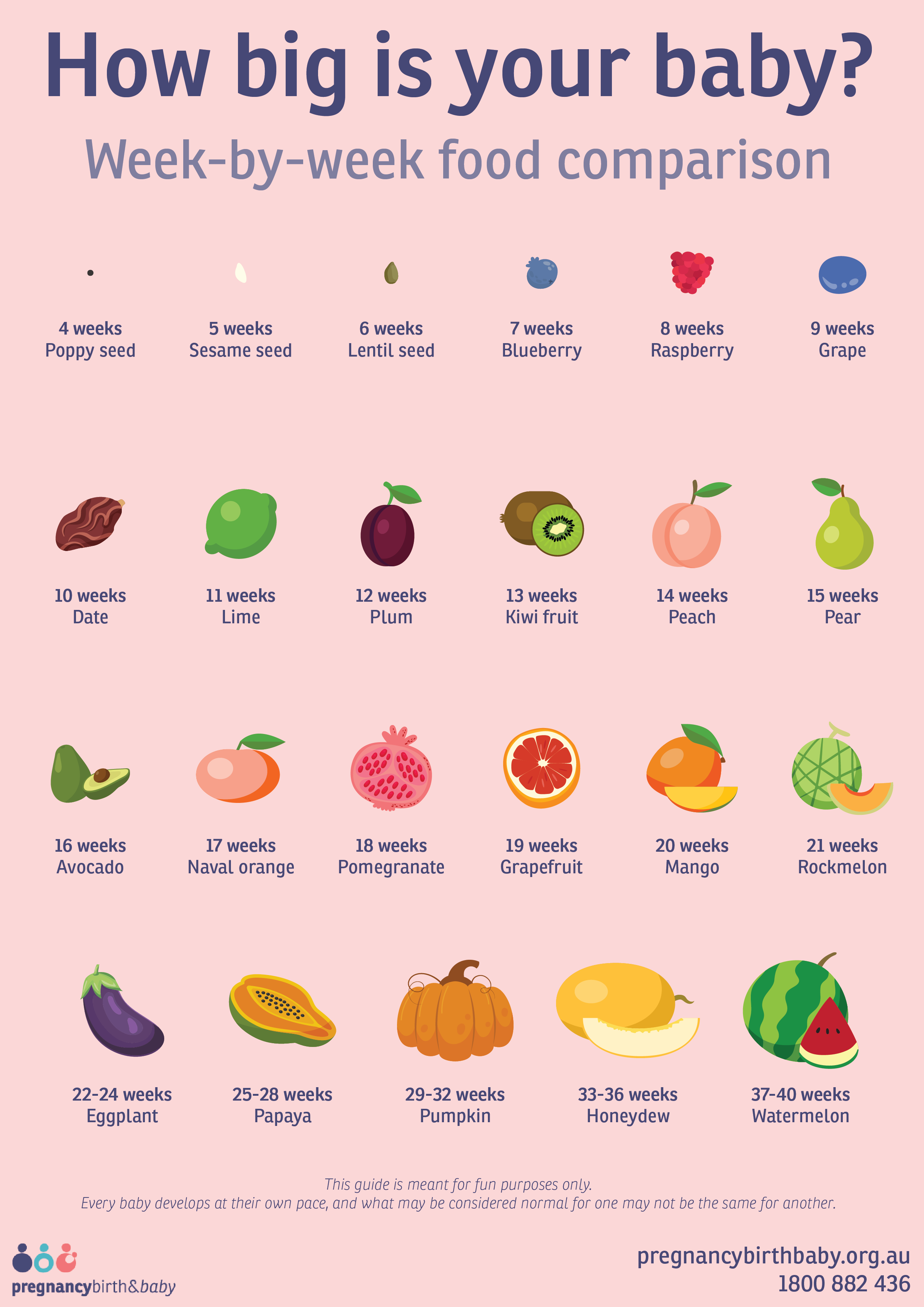 10 Week Fetus Size Fruit 10 Week Fetus Size Fruit