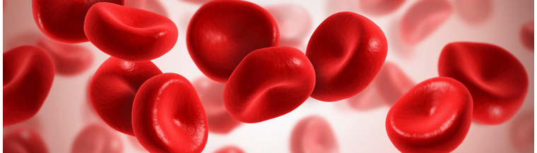 Red blood cells | healthdirect