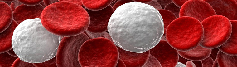 Leukaemia | healthdirect