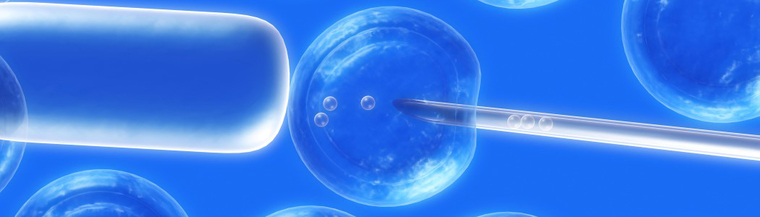 Stem cells | healthdirect