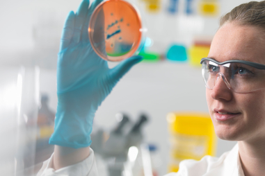 Understanding pathology tests — what they are used for and how to ...