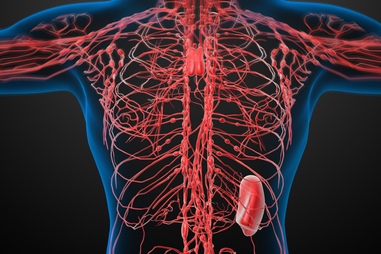 Lymphoma - symptoms, causes, treatment & side effects | healthdirect