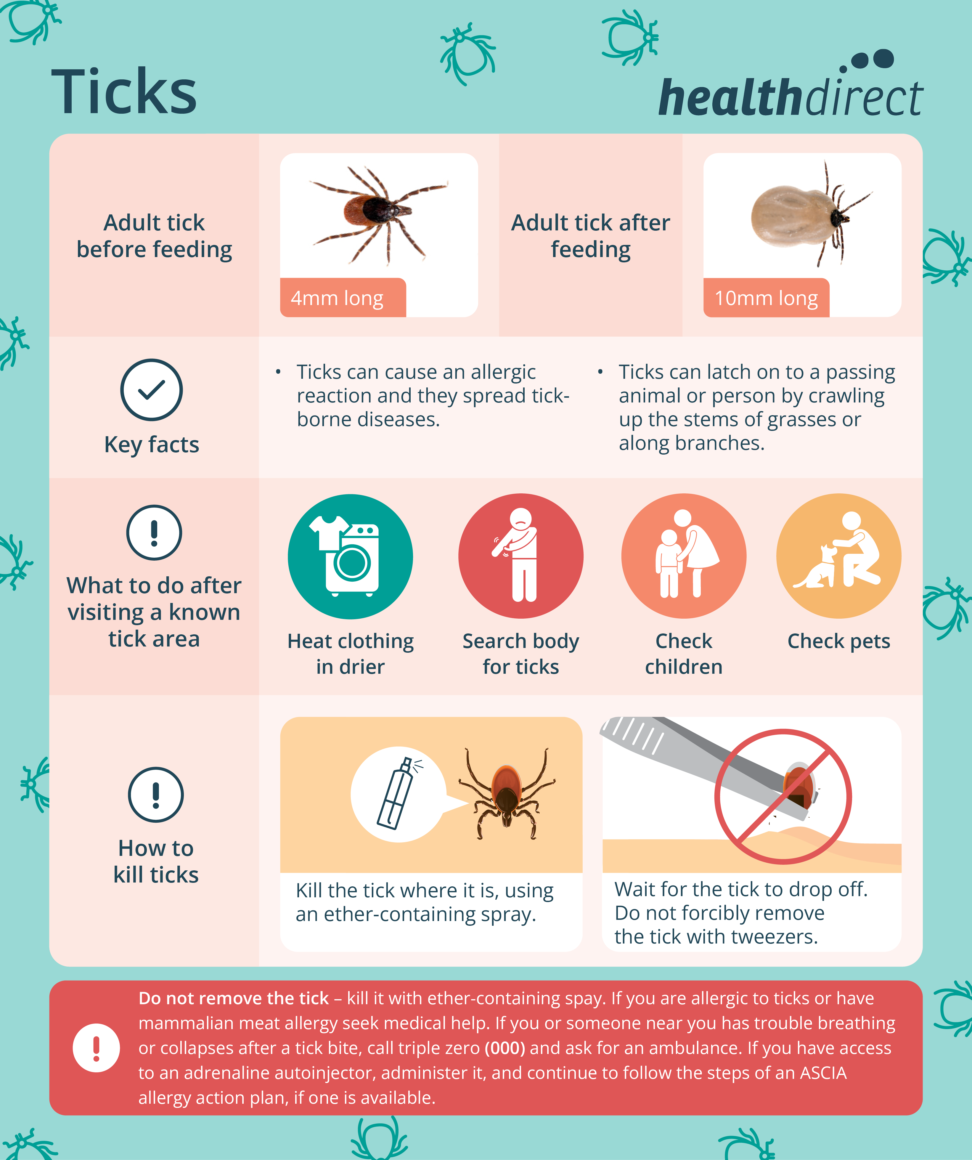 Tick Bites Symptoms Treatments And Prevention Healthdirect