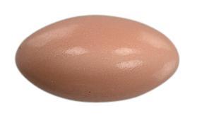 Mestinon | healthdirect